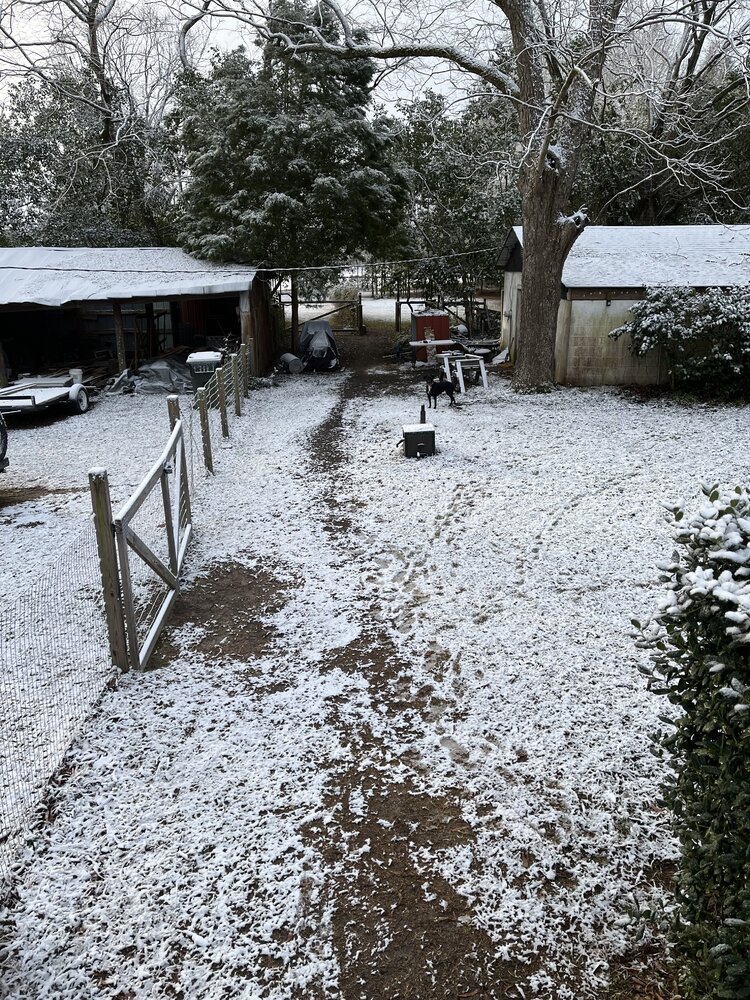 Snowpocalypse! | Page 11 | NC4x4