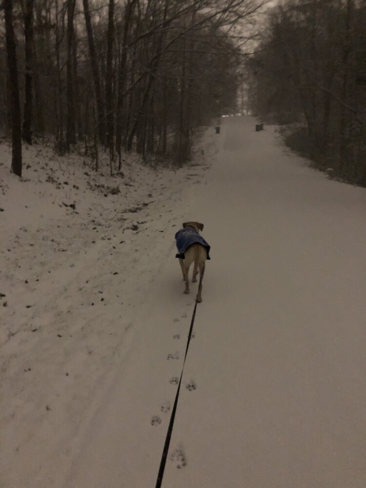 Snowpocalypse! | Page 9 | NC4x4