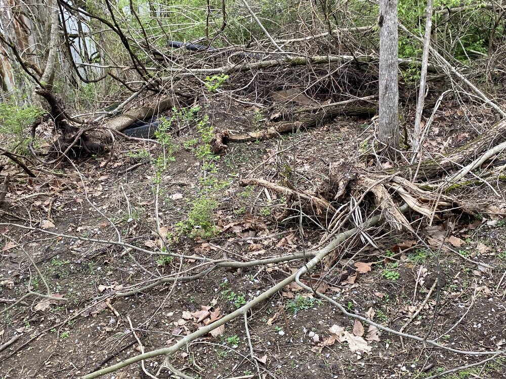 School me on root rakes | NC4x4