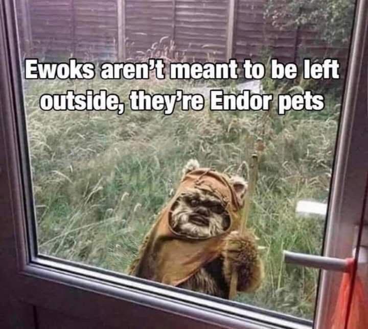 MOTD (Meme of the Day) | Page 1137 | NC4x4